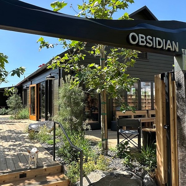 Adventures with Obsidian Wine